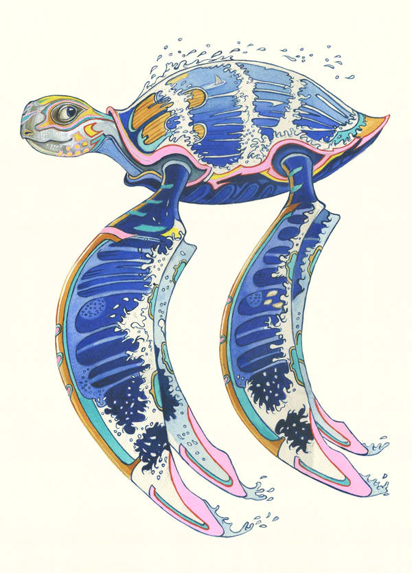 'Racing Turtle' Blank Greetings Card by DM Collection. – Smithsonia