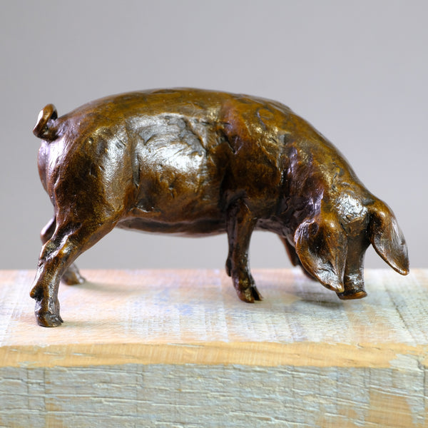 Medium 'Gloucester old Spot' Bronze by Michael Simpson – Smithsonia